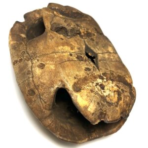 Thai Hanuman God Carved on Tortoise Shell – Thailand Amulet